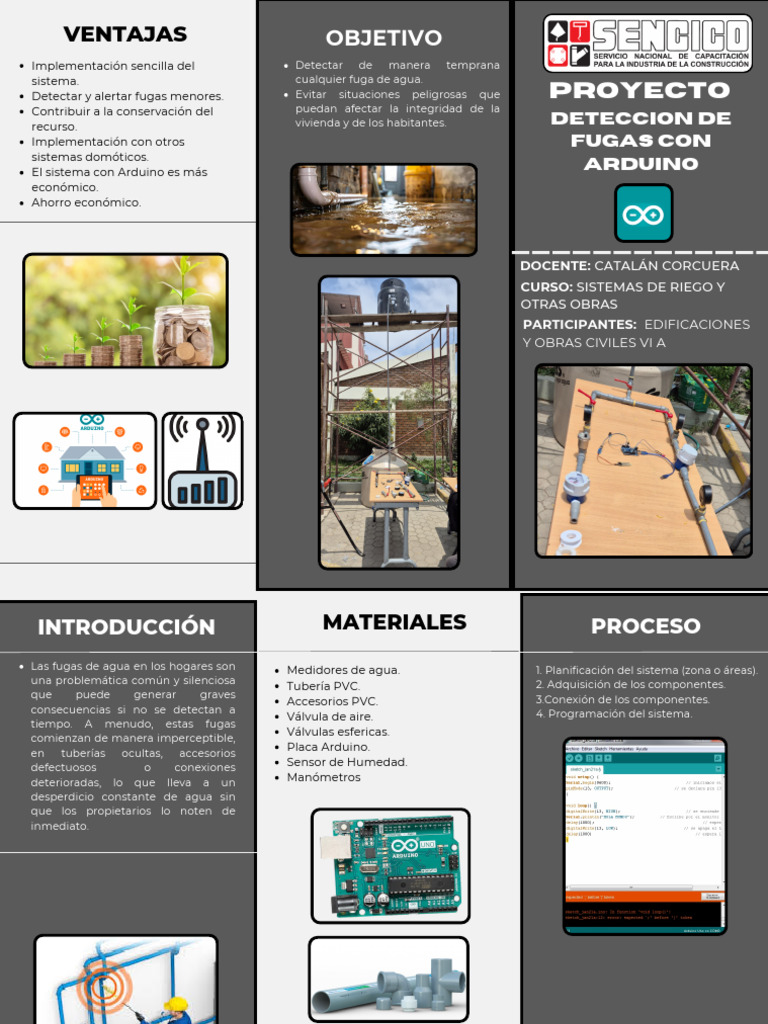 Triptico Proyecto | PDF