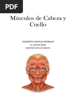 Función del músculo corrugador superciliar | PDF