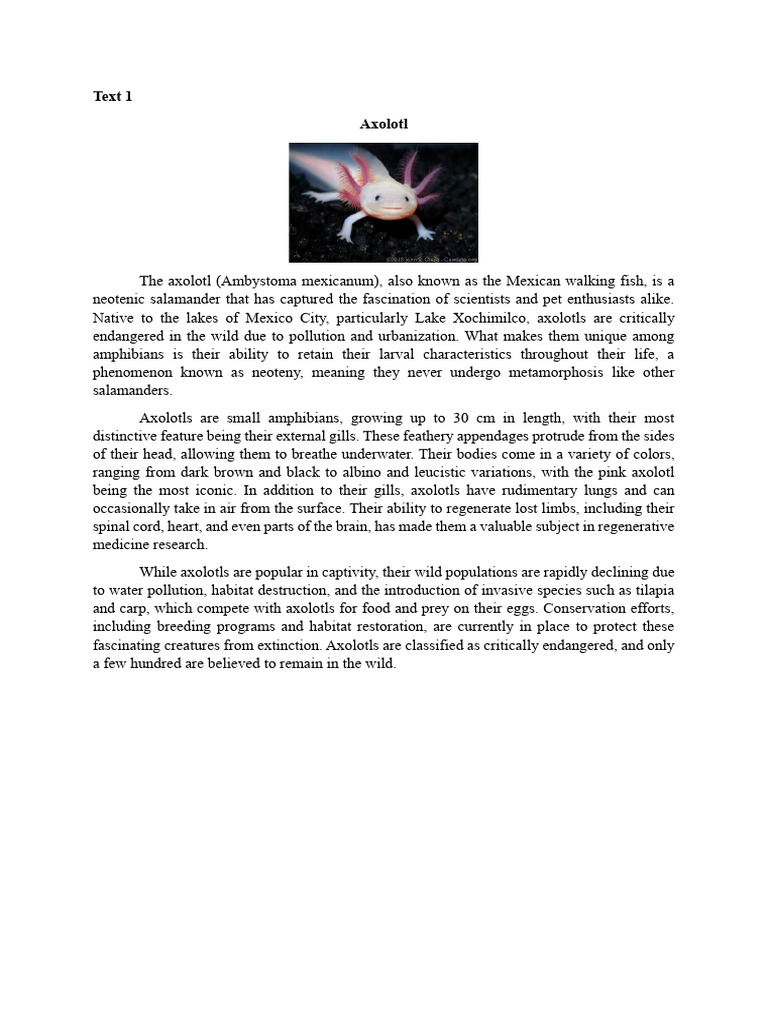 text report | PDF | Rhinoceros