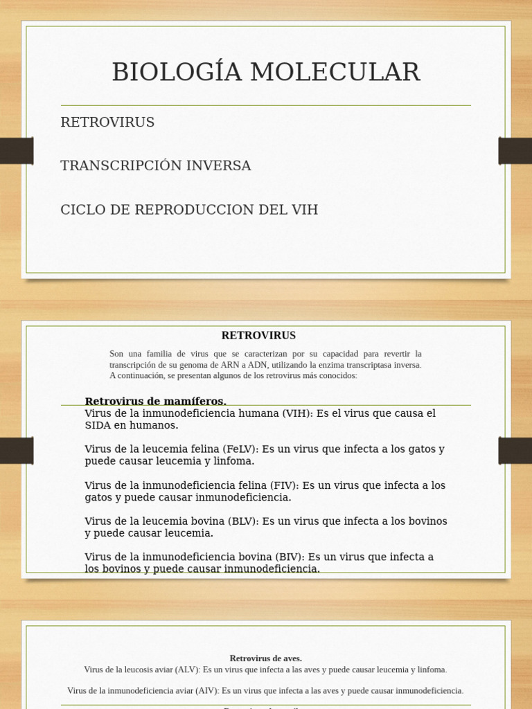 Ciclo y Retrovirus del VIH | PDF | La transcriptasa inversa | Retrovirus