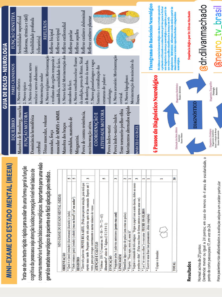 Guia de Bolso de Dilvan Machado Neuro Aula | PDF