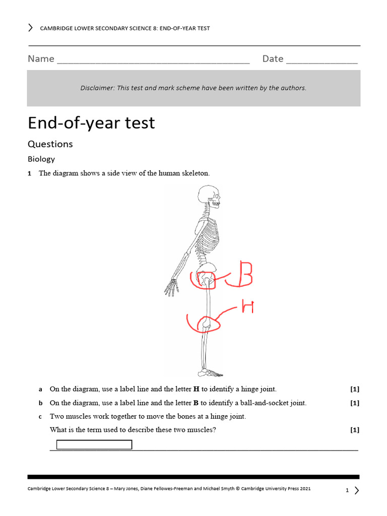 Lower - Secondary - Science - 8 - End-Of-Year Test | PDF | Acid ...