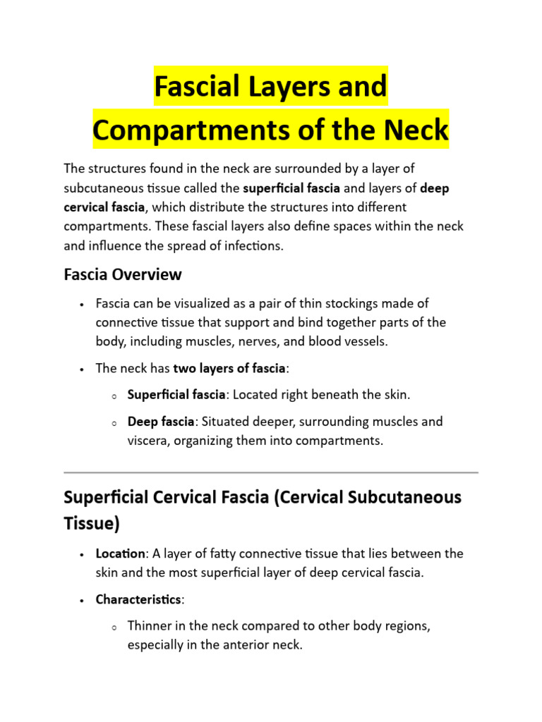 Fascial Layers and Compartments of The Neck | PDF | Neck | Common ...