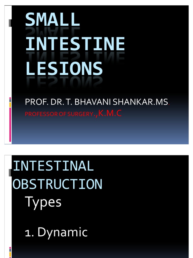 31 8 10 Small Intestine | PDF | Medical Specialties | Gastroenterology