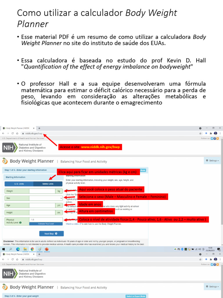 Guia para Usar o Body Weight Planner | PDF