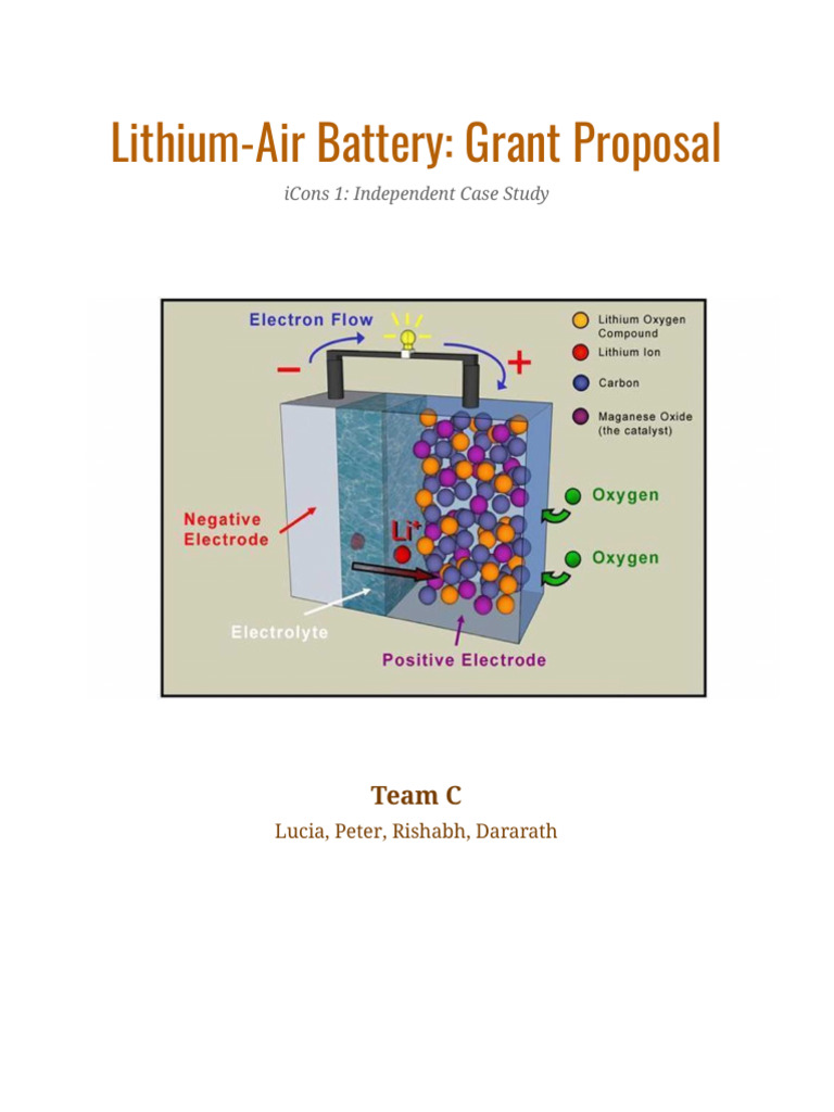 Groupccasestudy 3 Finalproposal | PDF | Lithium Ion Battery | Physical Sciences