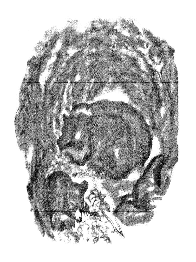 Cat 6 | PDF
