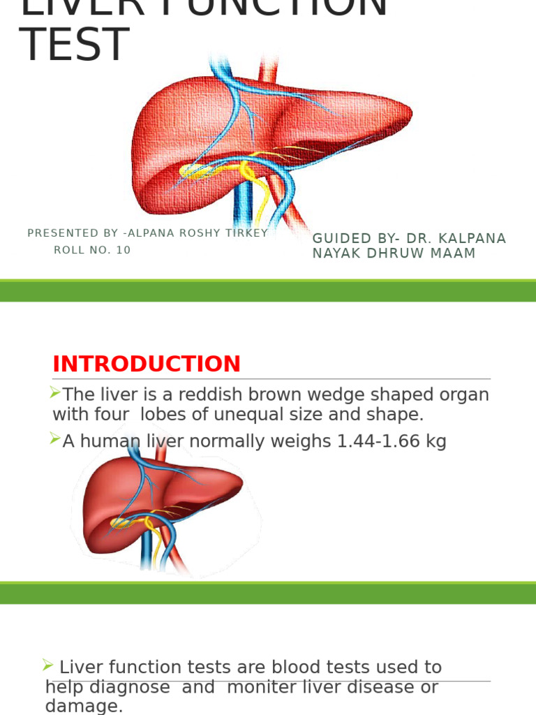 Bilirubin and Liver Function Tests | PDF | Hepatitis | Liver