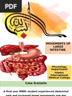 Understanding Haustrations in the Colon | PDF | Large Intestine | Organ ...
