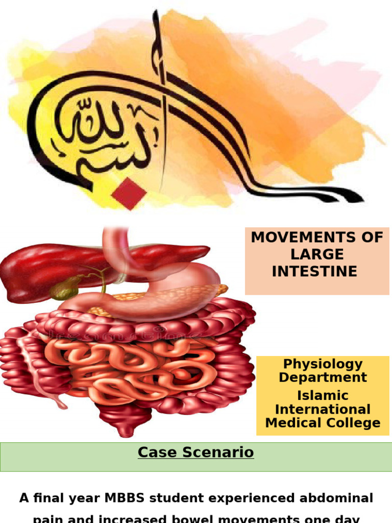 Movement of Large Intestine - Flippclassroom | PDF | Large Intestine ...