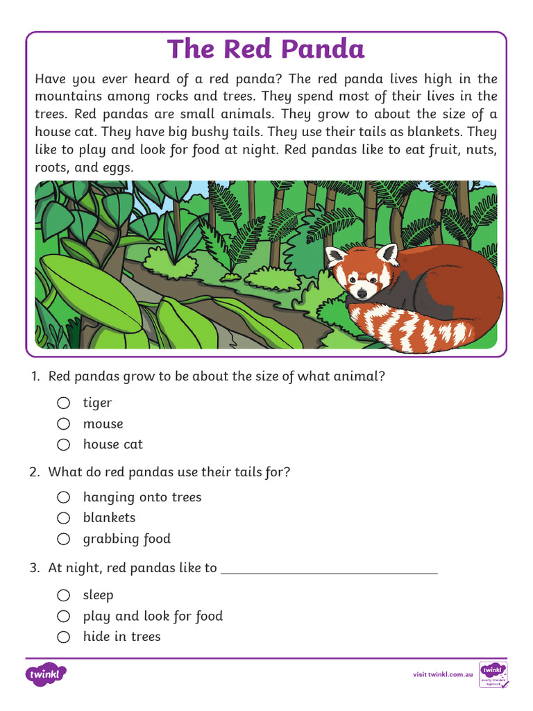 Comprehension | PDF | General Fiction