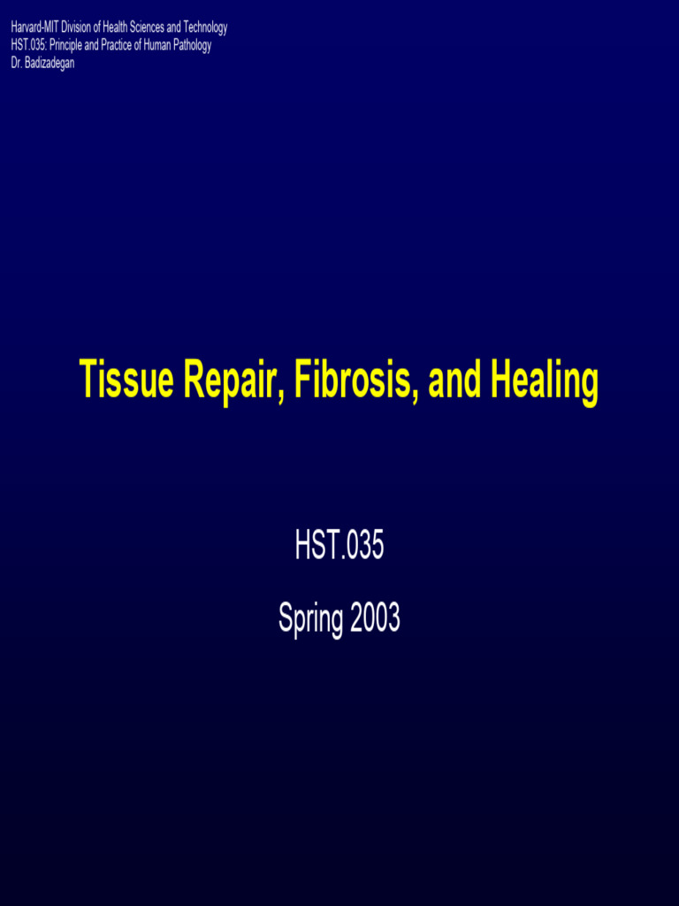 Tissue Repair, Fibrosis, and Healing | PDF | Extracellular Matrix ...