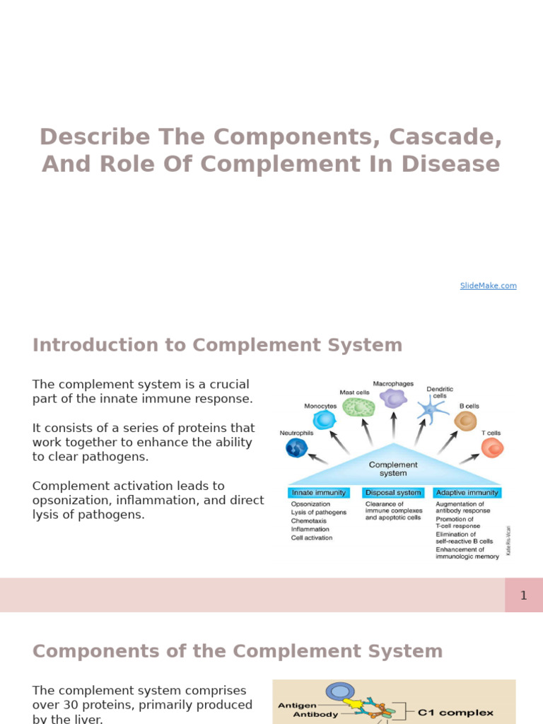 Describe The Components, Cascade, and Role of Complement in Disease | PDF | Complement System ...
