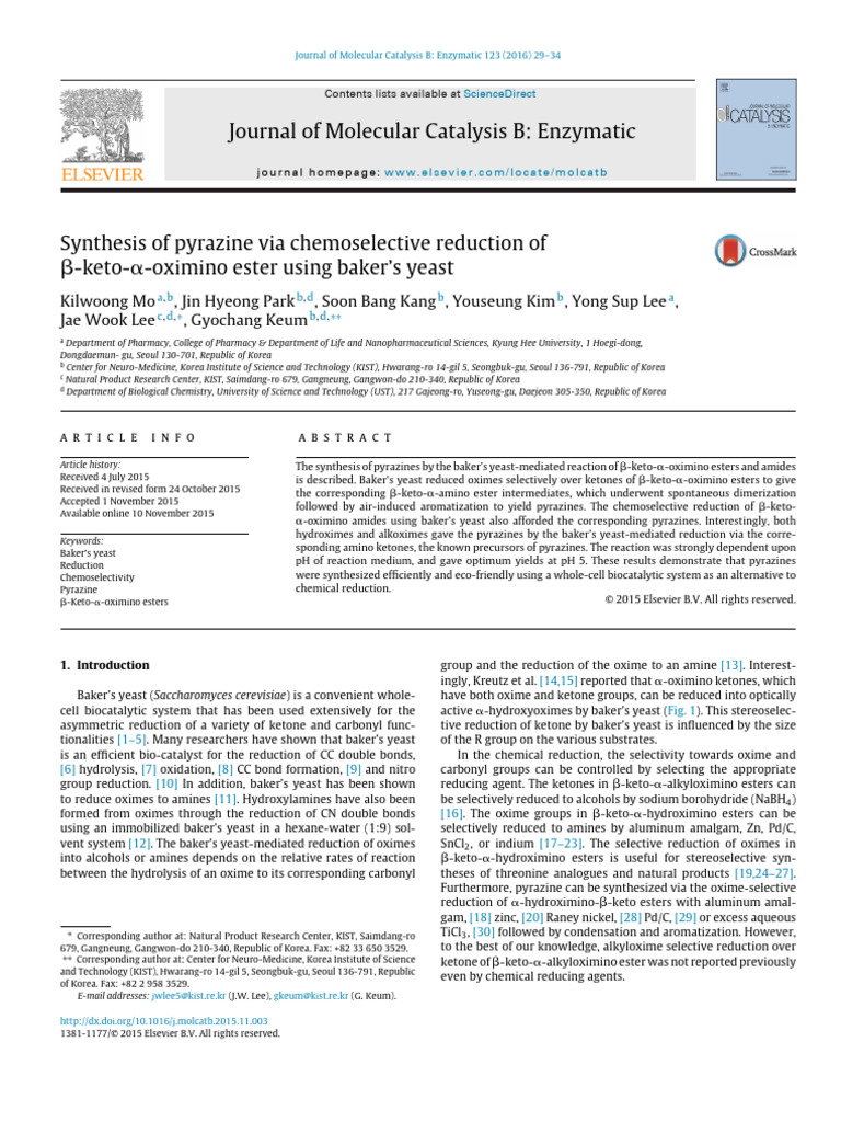 Synthesis of Pyrazine Via Chemoselective Reduction of | PDF | Chemical Substances | Chemistry