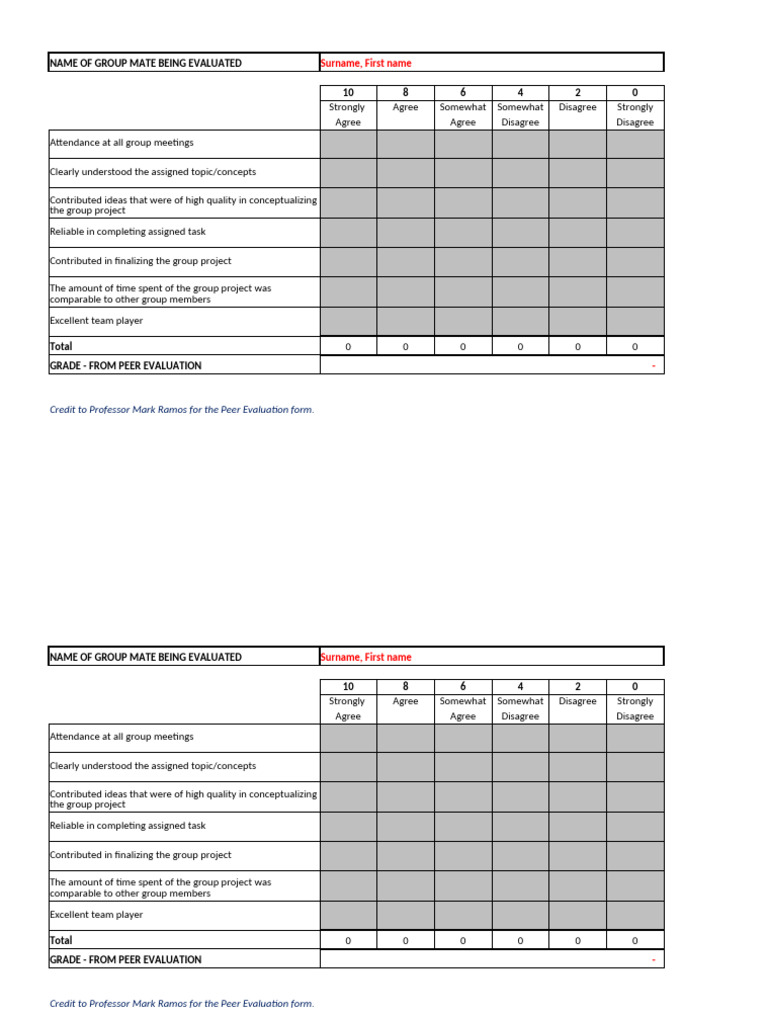 Acccob1 Group+Project+ +Peer+Evaluation+Form | PDF | Cognition