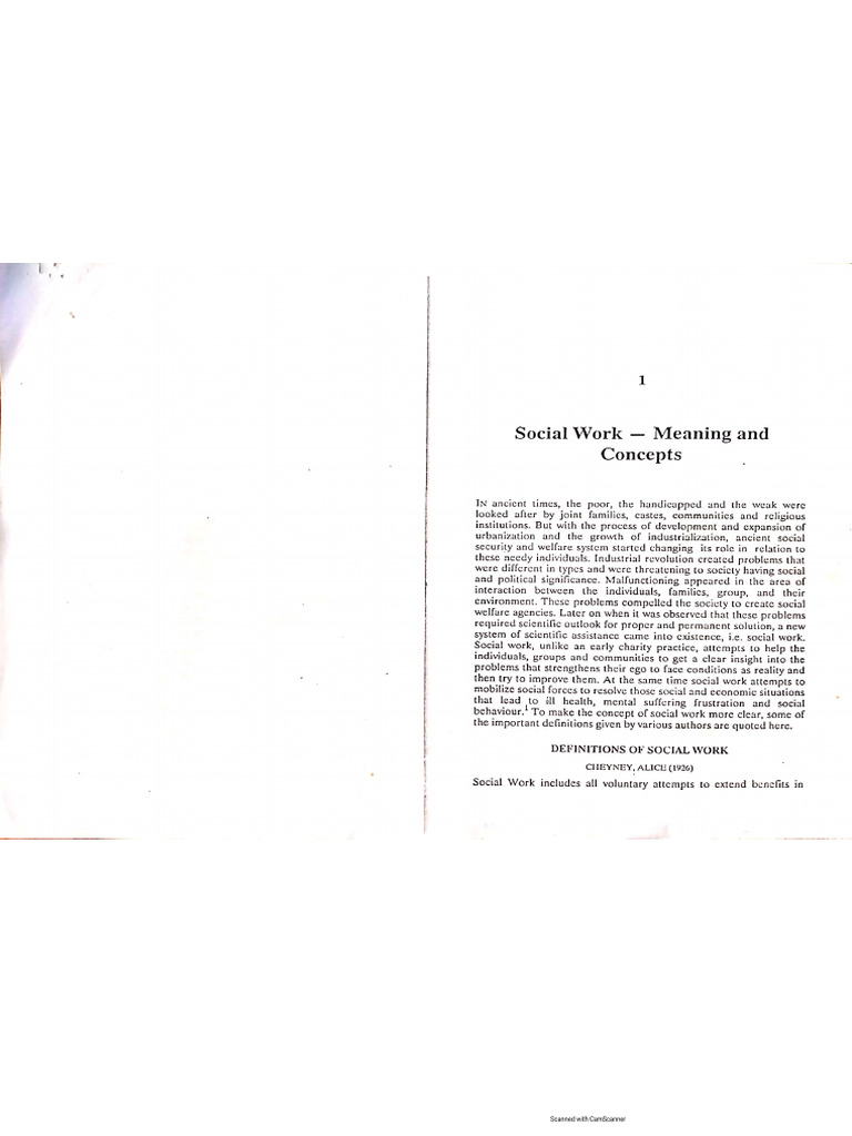 ISW Ch 1 - Meaning and Concepts of SW | PDF