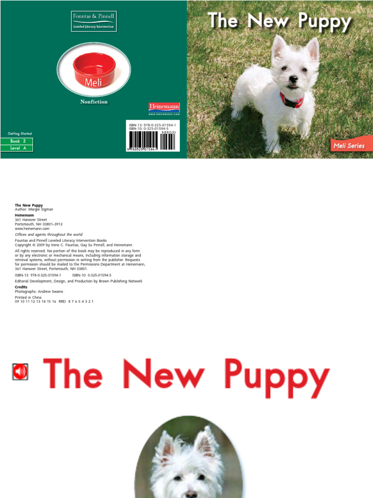 A 1-03 the new puppy | PDF | Property Law | Intellectual Works