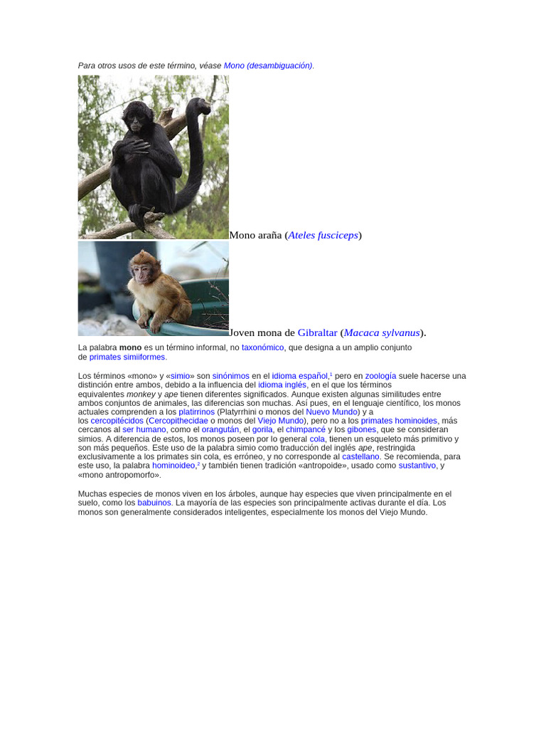 Diferencias entre monos y simios | PDF