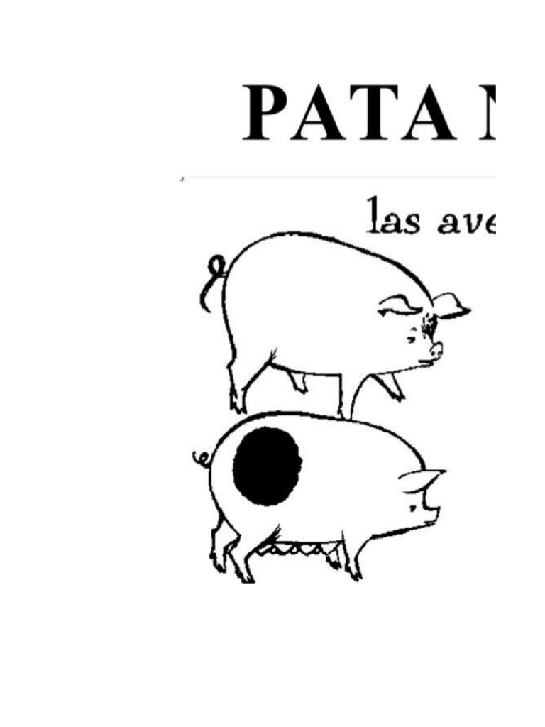 Test Pata Negra Laminas y Manual | PDF