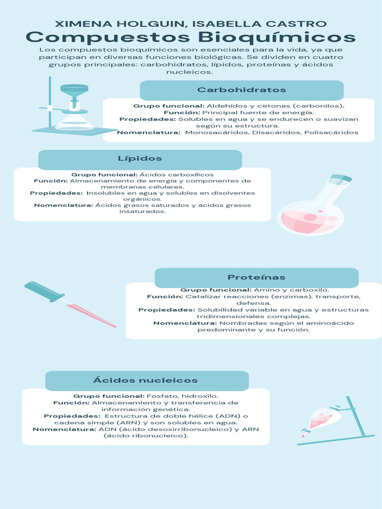 Infografía Quimica | PDF