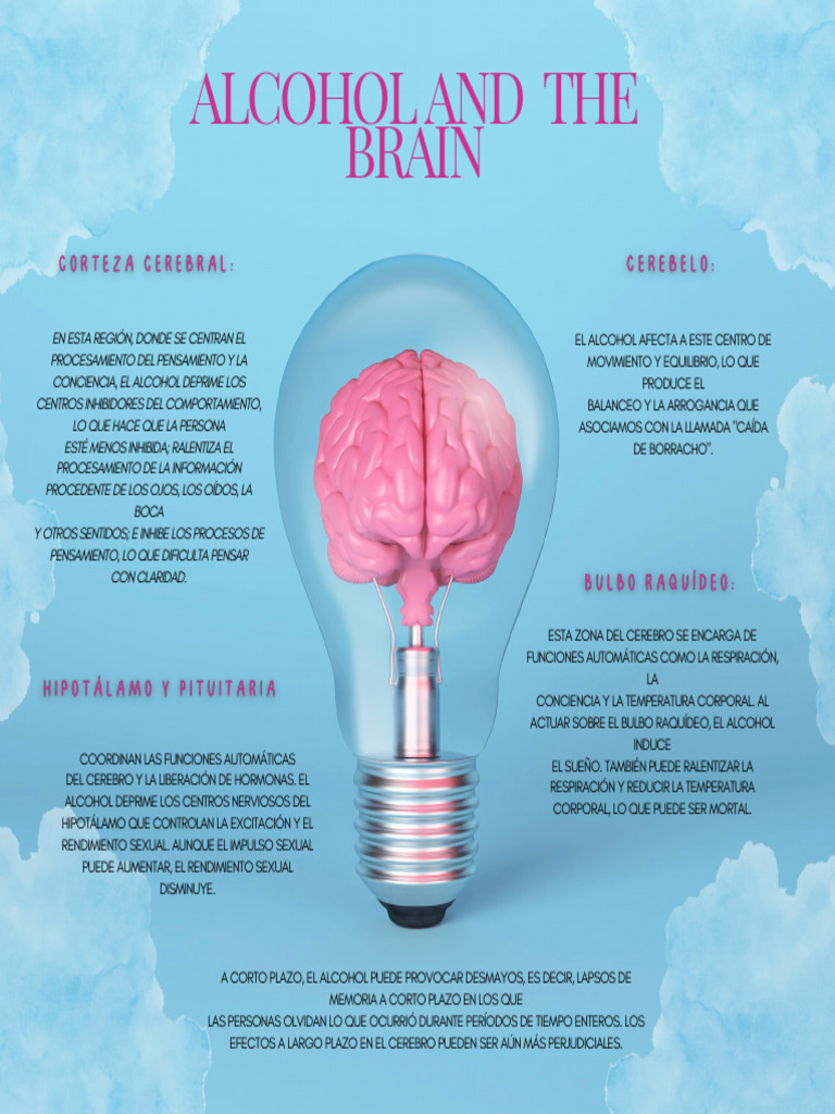 Alcohol and The Brain | PDF | Conciencia | Hipotálamo