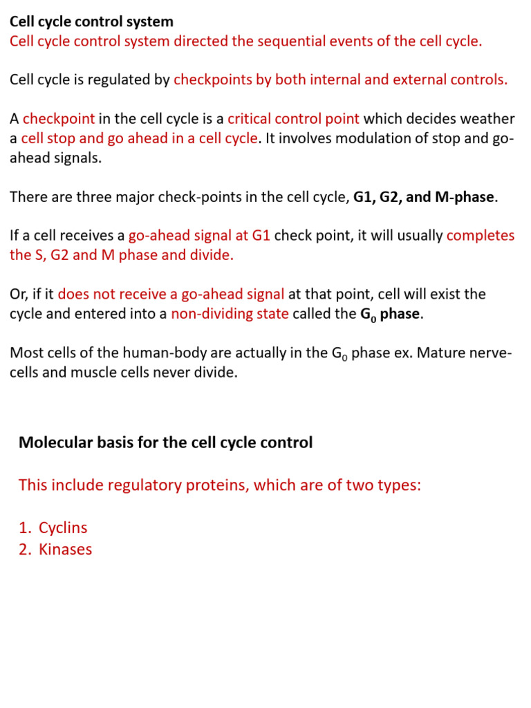 Cell Cycle Control System | PDF | Cell Cycle | Meiosis
