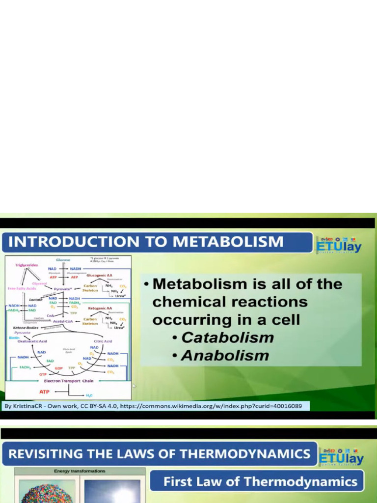 Gen Bio 1 Week 1 Q2 | PDF