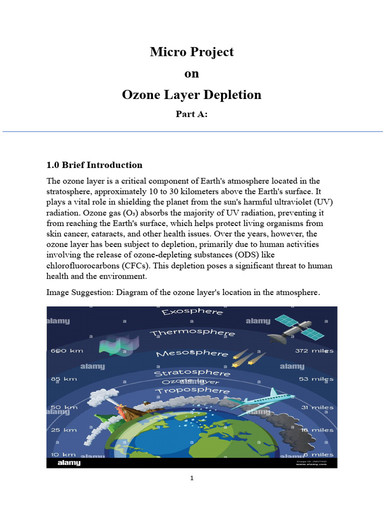 Micro Project - Removed | PDF | Ozone Depletion | Atmosphere