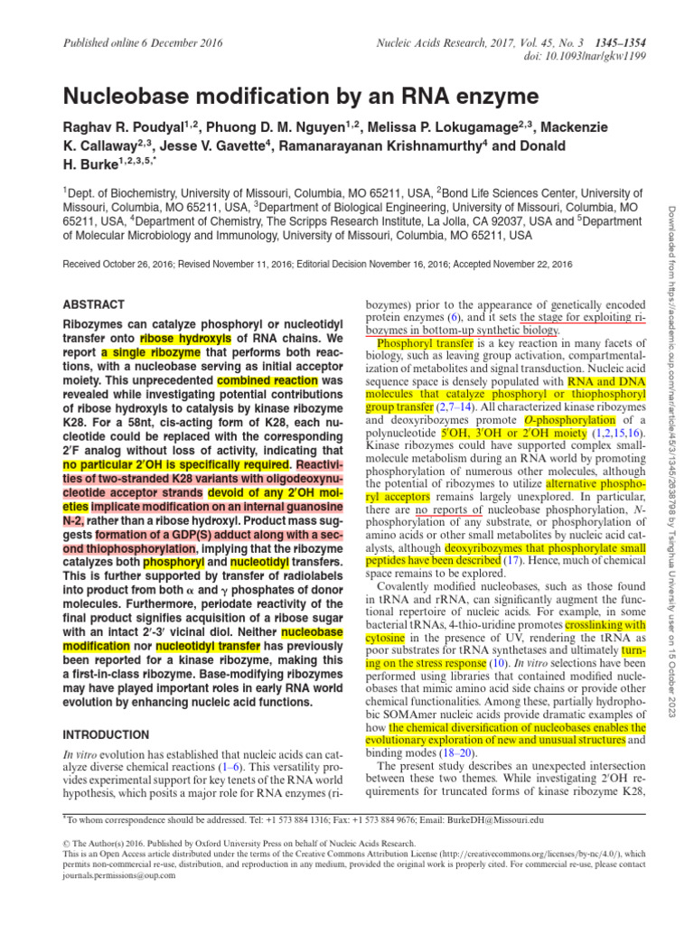 Ribozyme Editing Nucleobase | PDF | Rna | Dna