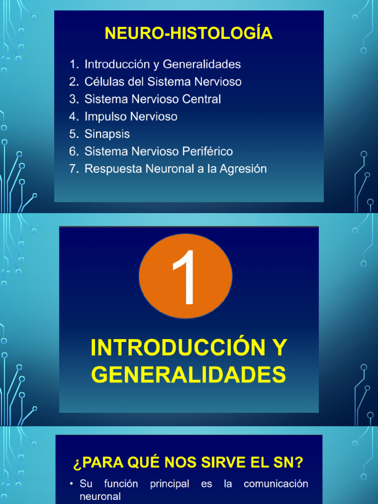 Sistema Nervioso Fisio2 y Fisio 4 | PDF