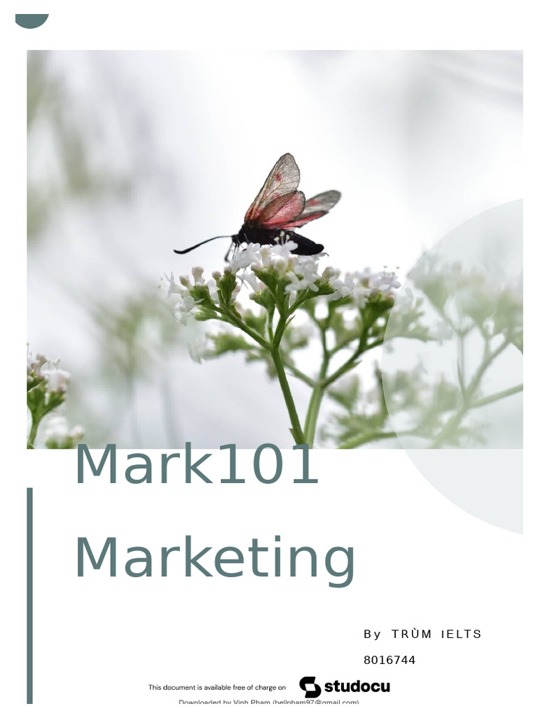 mark101-SNACK - Compiled by Vinh | PDF | Pricing | Target Audience