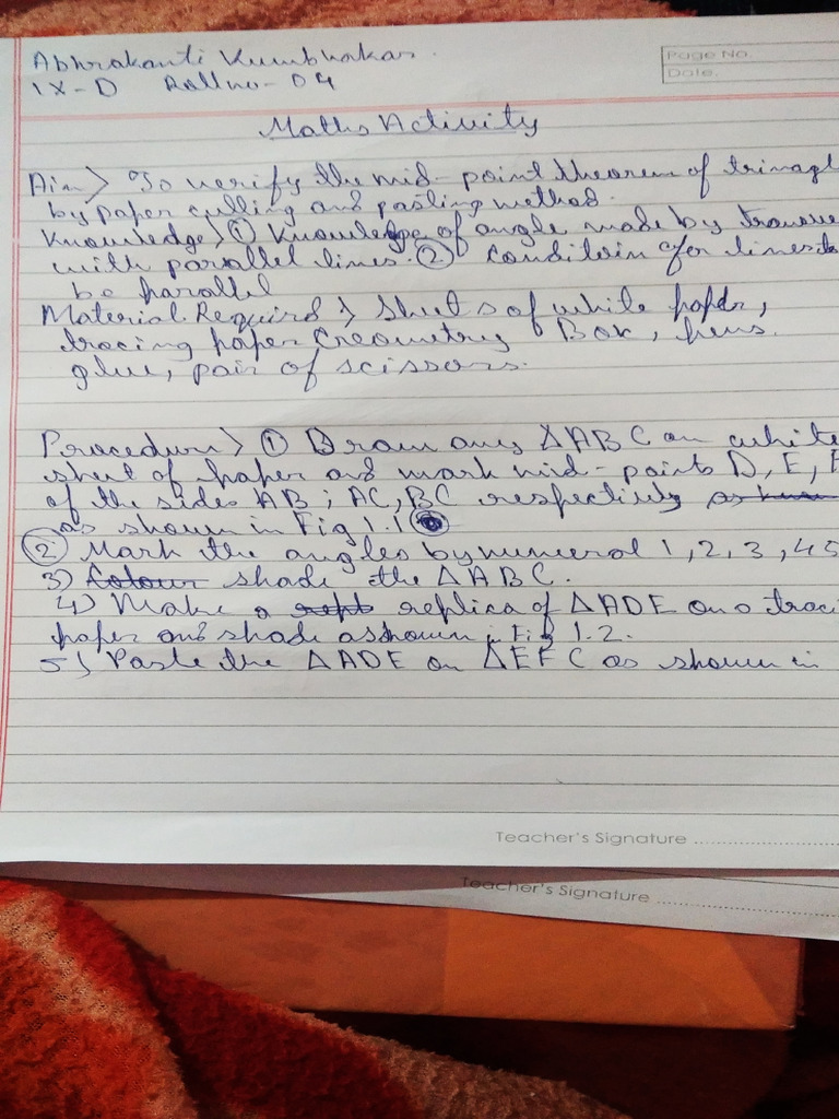 Maths Activity Term 2 Pdf