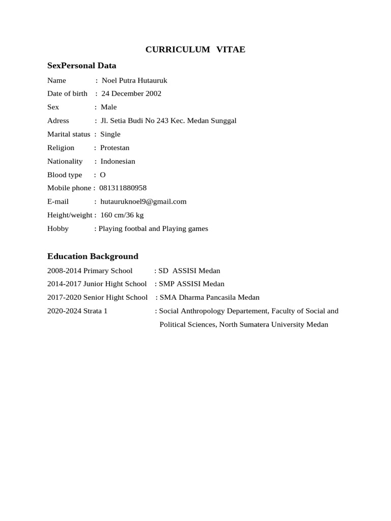 Curriculum Vitae of Noel Putra Hutauruk | PDF
