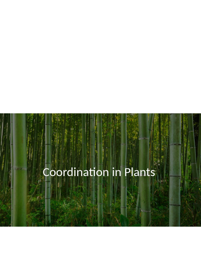 PvA Chemical and Nervous Control | PDF | Central Nervous System | Plant ...