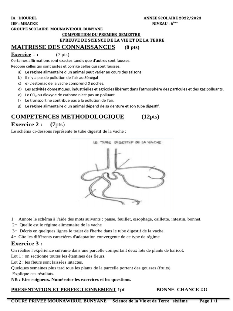 Devoir SVT 6eme Mounawiroul Bunyane | PDF