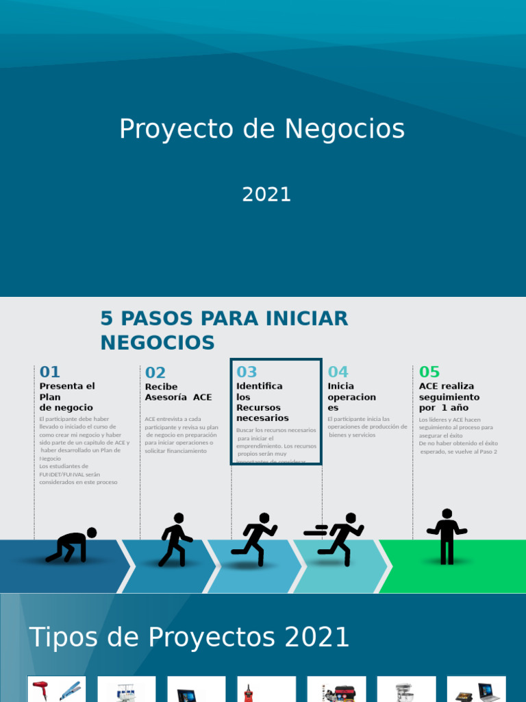 Proyecto de Negocios 2021 Resumen | PDF | Negocios