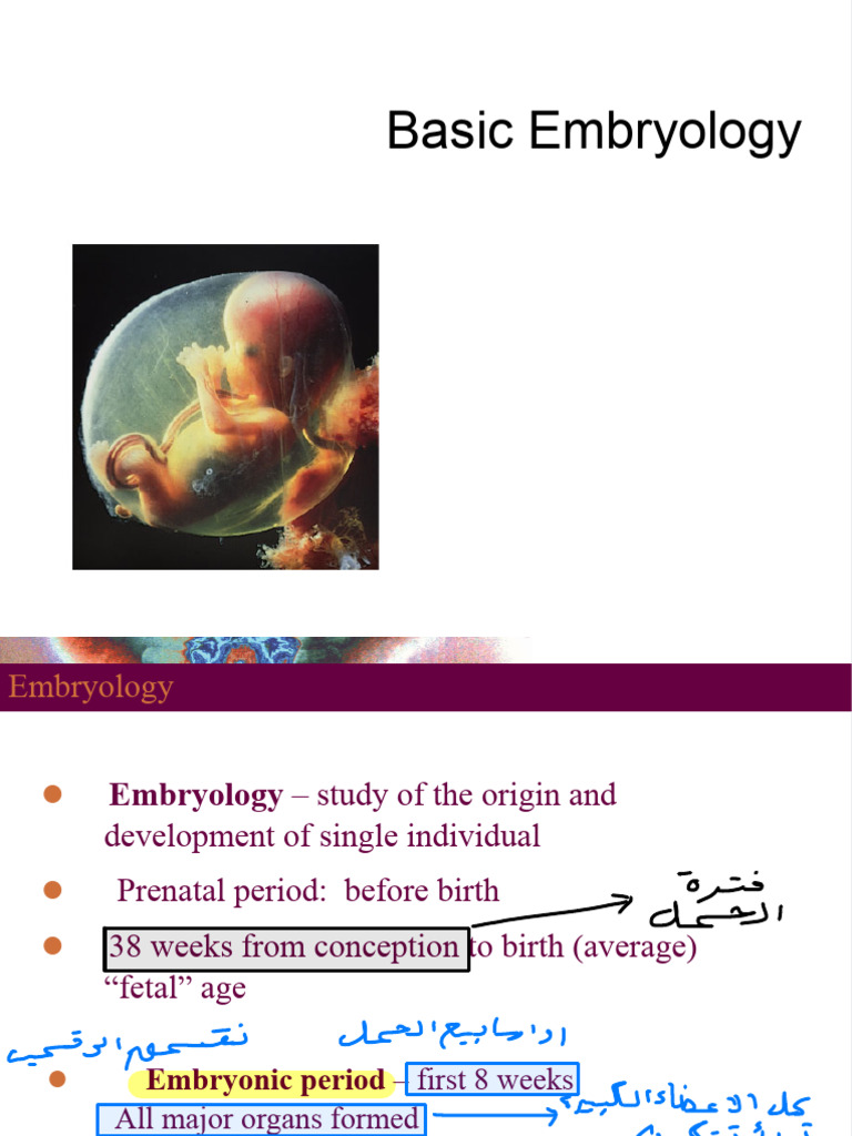 Basic Embryology (1) | PDF | Embryo | Reproduction