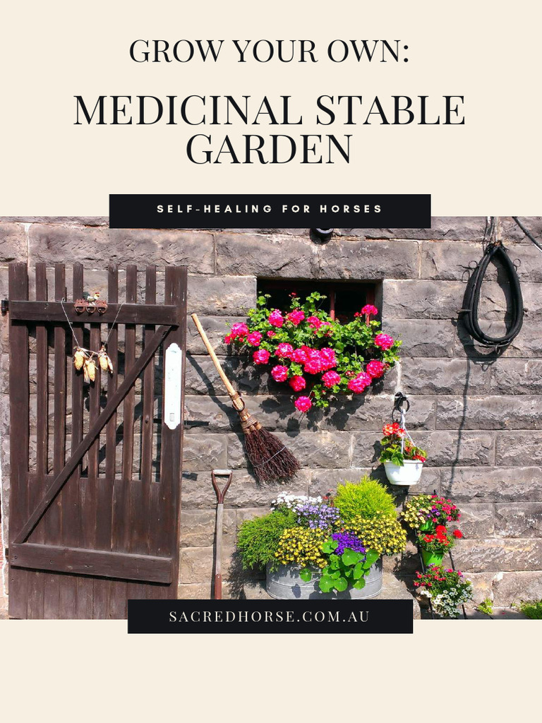 Medicinal-Stable-Garden-1 | PDF | Rosemary | Herbs And Spices