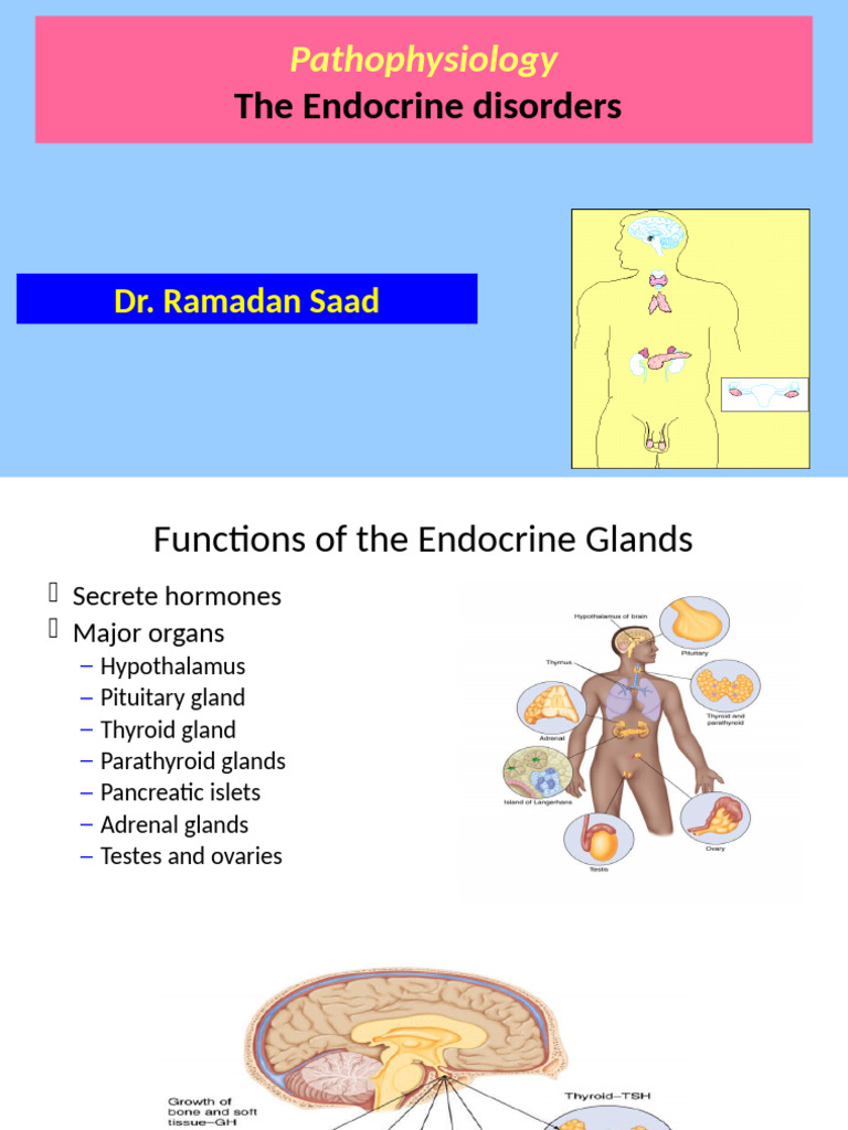 Pathophysiology (Endocrinal Disorders) | PDF | Adrenal Gland ...