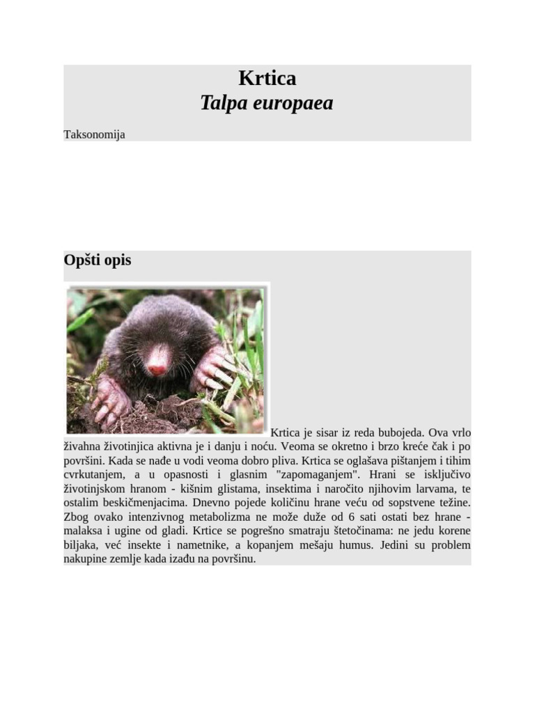 Krtica | PDF