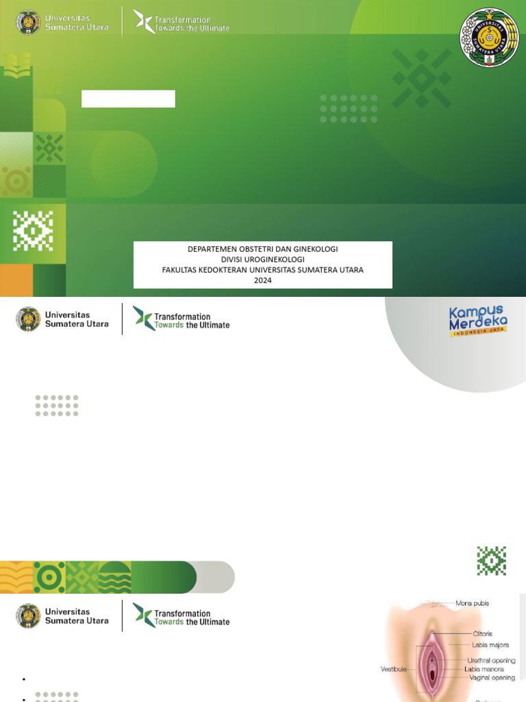 Infeksi Organ Genitalia: RPS-3 K1 & K2 | PDF