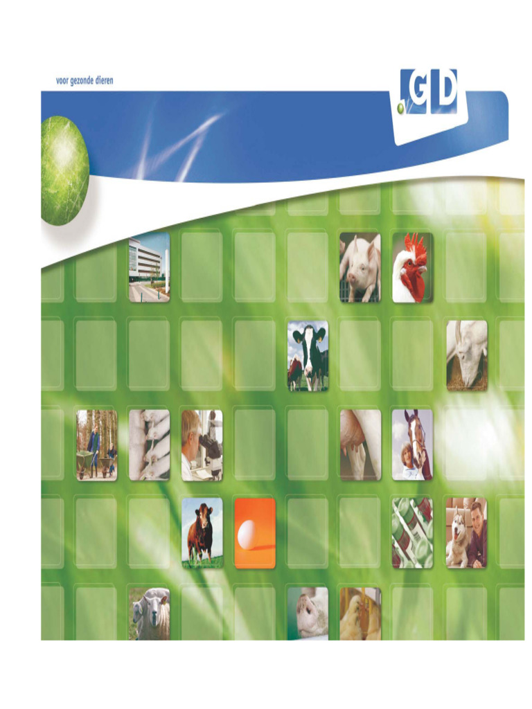 6.1 Infectious Bronchitis | PDF | Infection | Vaccines