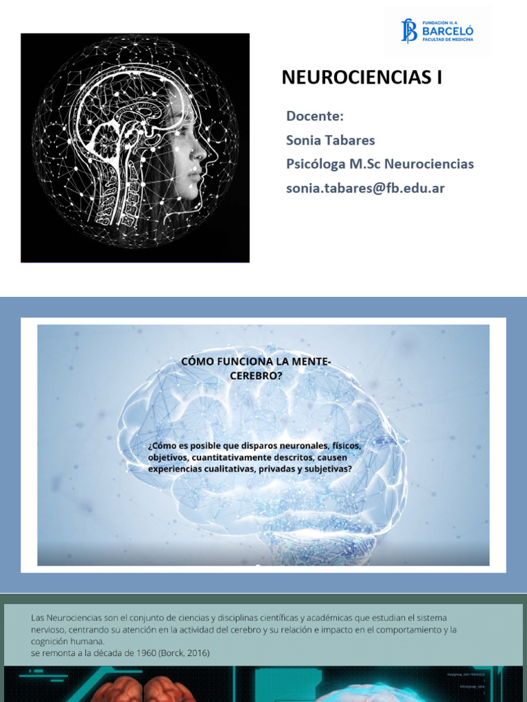 Clase 1 Historia Neurociencias | PDF | Cerebro | Tálamo