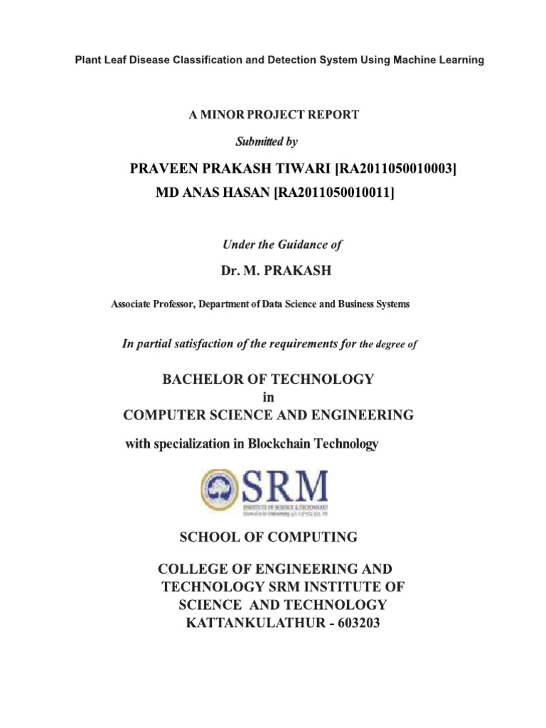 Praveen (003) U2 Big Data Project Report PDF | PDF