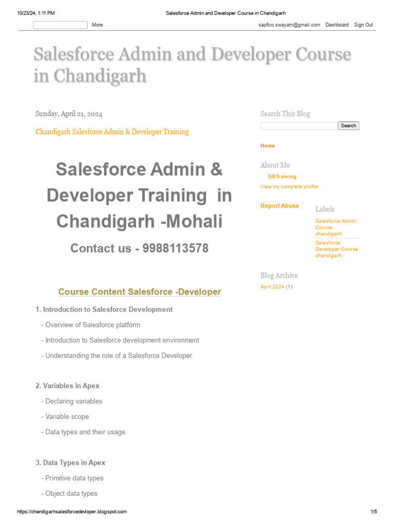 Salesforce Admin and Developer Course in Chandigarh | PDF | Object Oriented Programming | Object ...