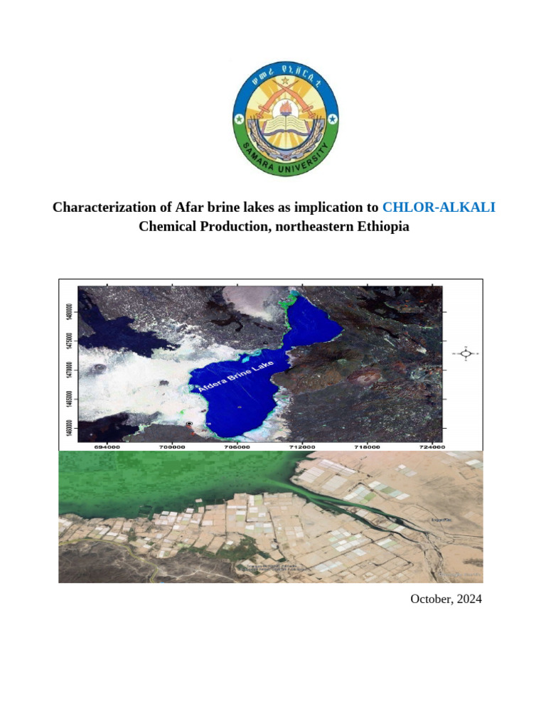 Chlor-Alkali Project - Brine Lakes | PDF | Sodium Chloride | Sodium ...