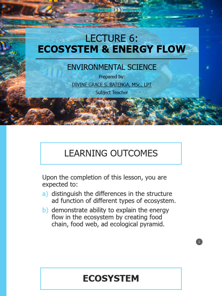 ES-LECTURE 6 - Ecosystem and Energy Flow | PDF | Food Web | Ecosystem