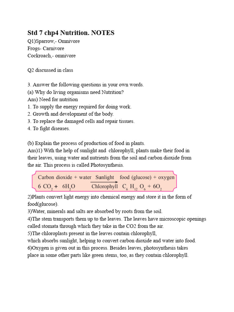 Std 7 chp4 notes new | PDF | Plants | Foods