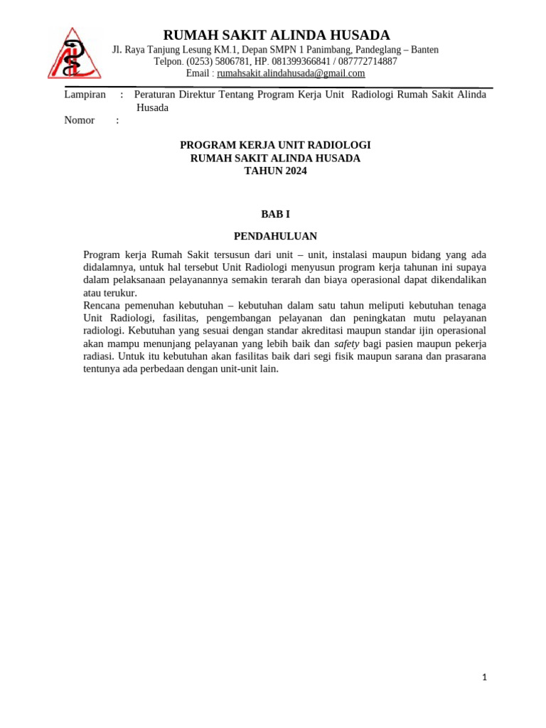 Program Kerja Radiologi 2024 | PDF