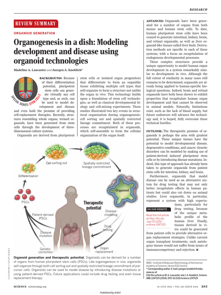2014 Organogenesis in A Dish Modeling Development and Disease Using ...